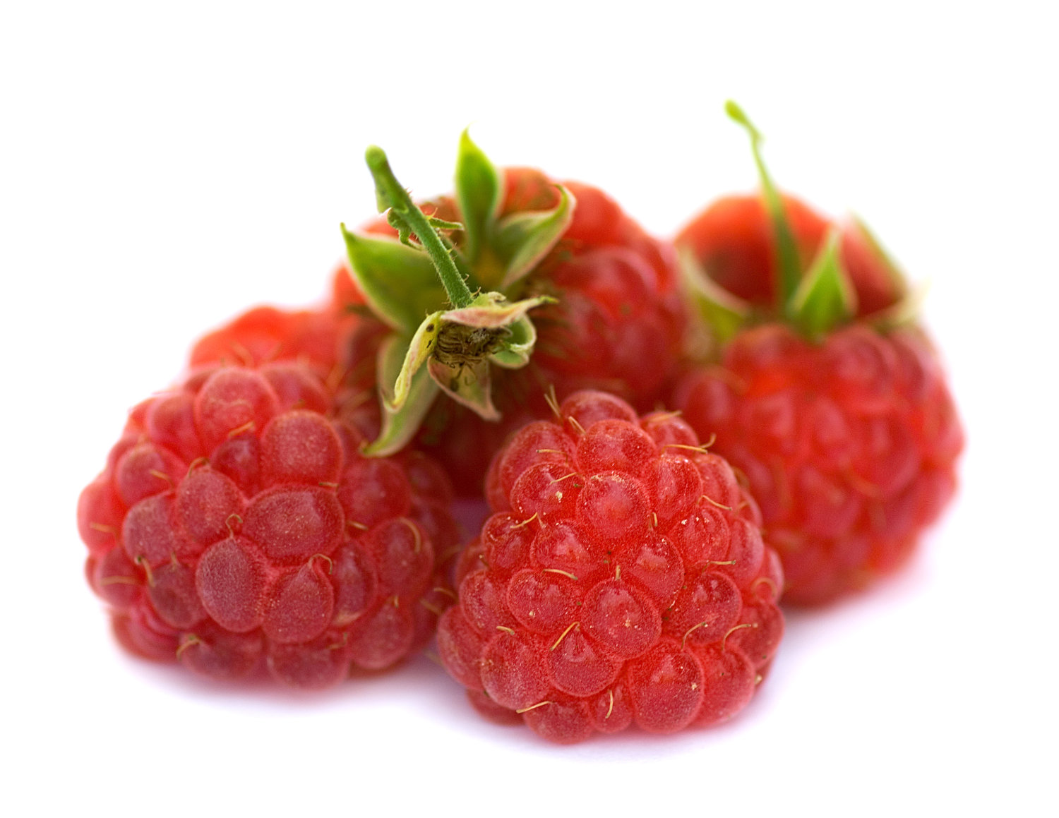 Fresh Raspberries Fragrance Oil 1 Ounce 100% Concentrated on Luulla